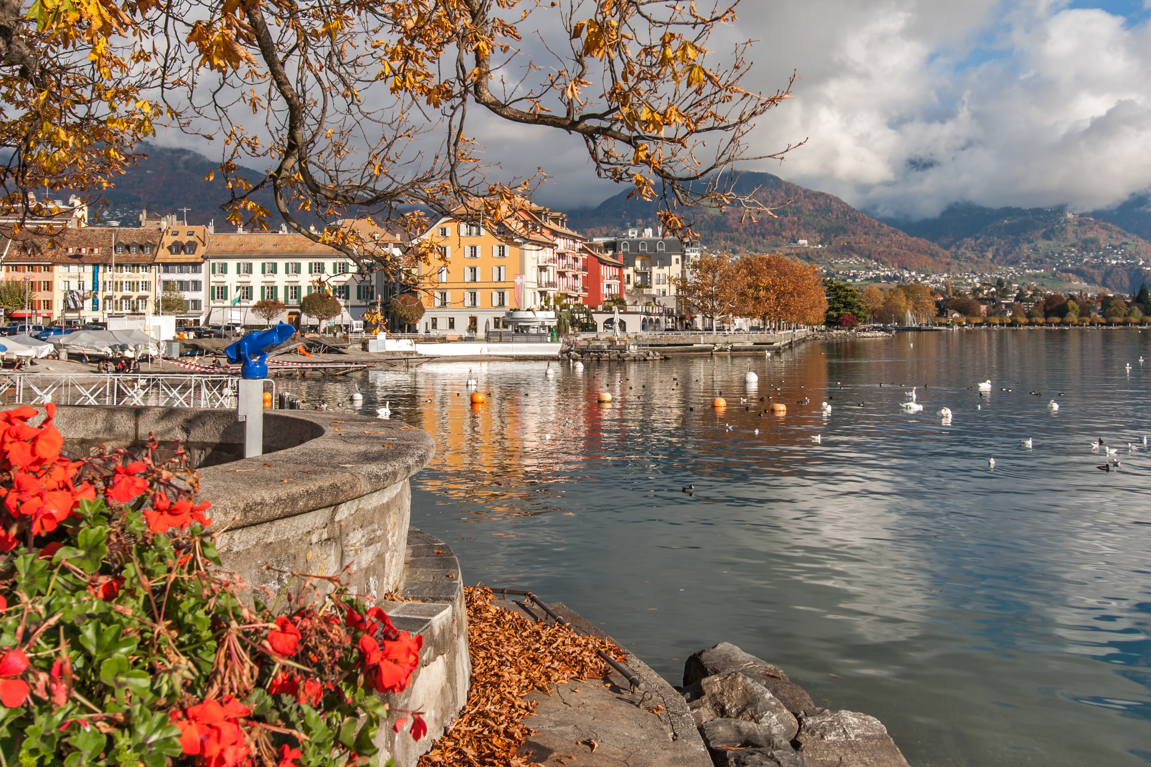 November in Geneva: Wine, Museums & Cosy Escapes | Fraser Suites Geneva