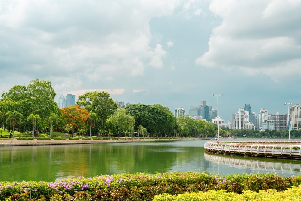 Best Parks in Bangkok | Explore the Benchakitti Forest Park
